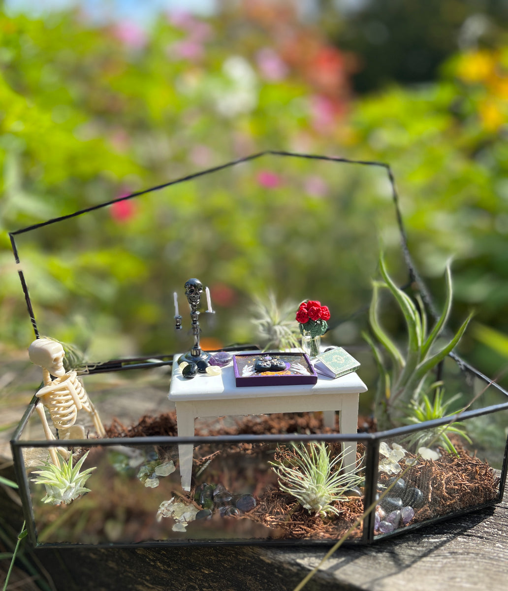 Click to purchase Oct 13 Halloween Coffin Terrarium Make and Take ...